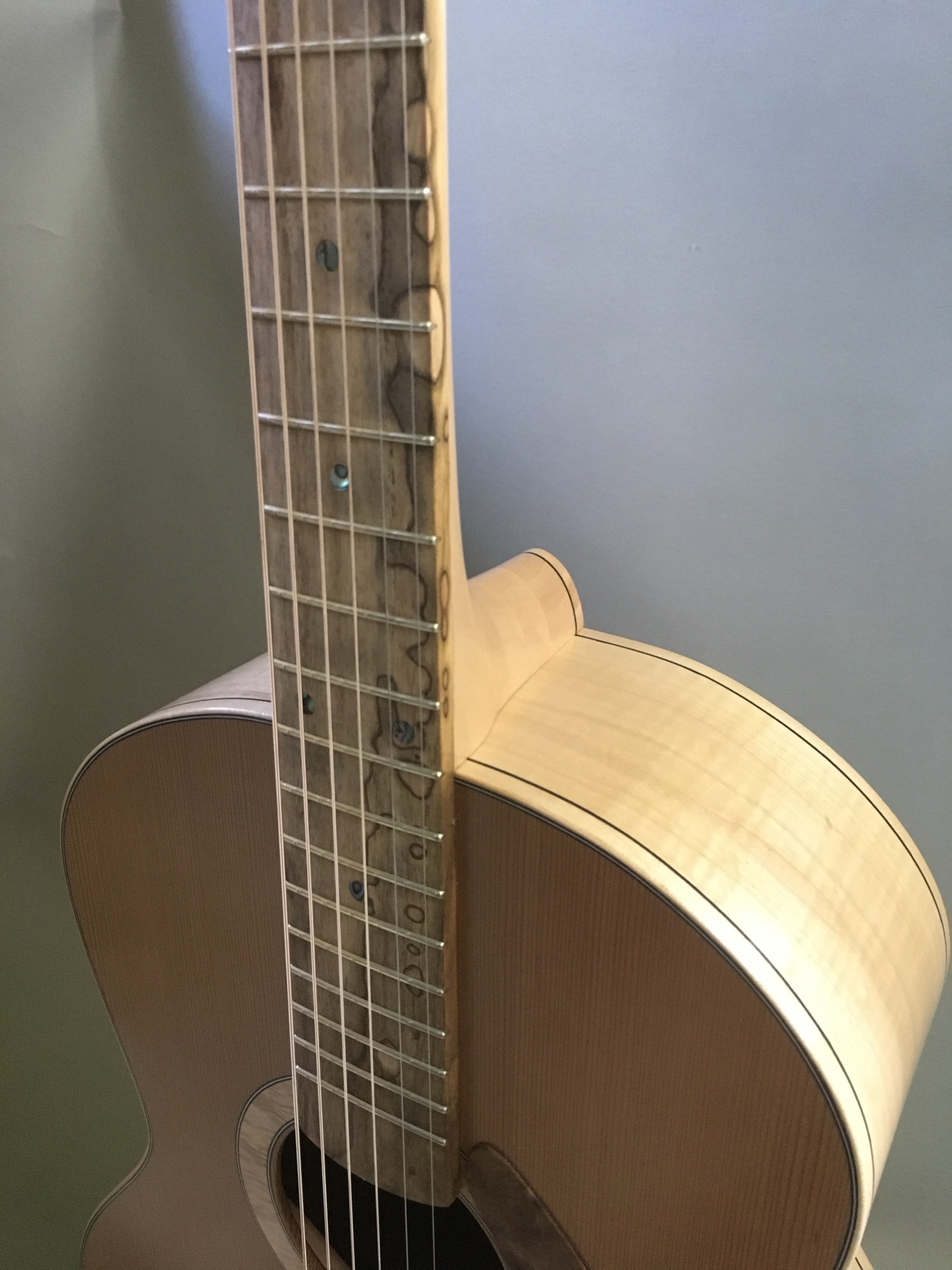 Persimmon 1 – Hampel Guitars